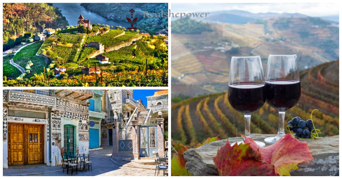 Journey Through The Enchanting Douro Valley: A Tapestry Of Nature ...