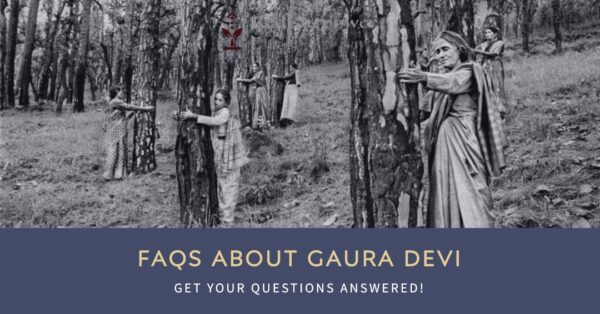 Embracing Nature's Defenders: The Untold Secrets Of The Chipko Movement